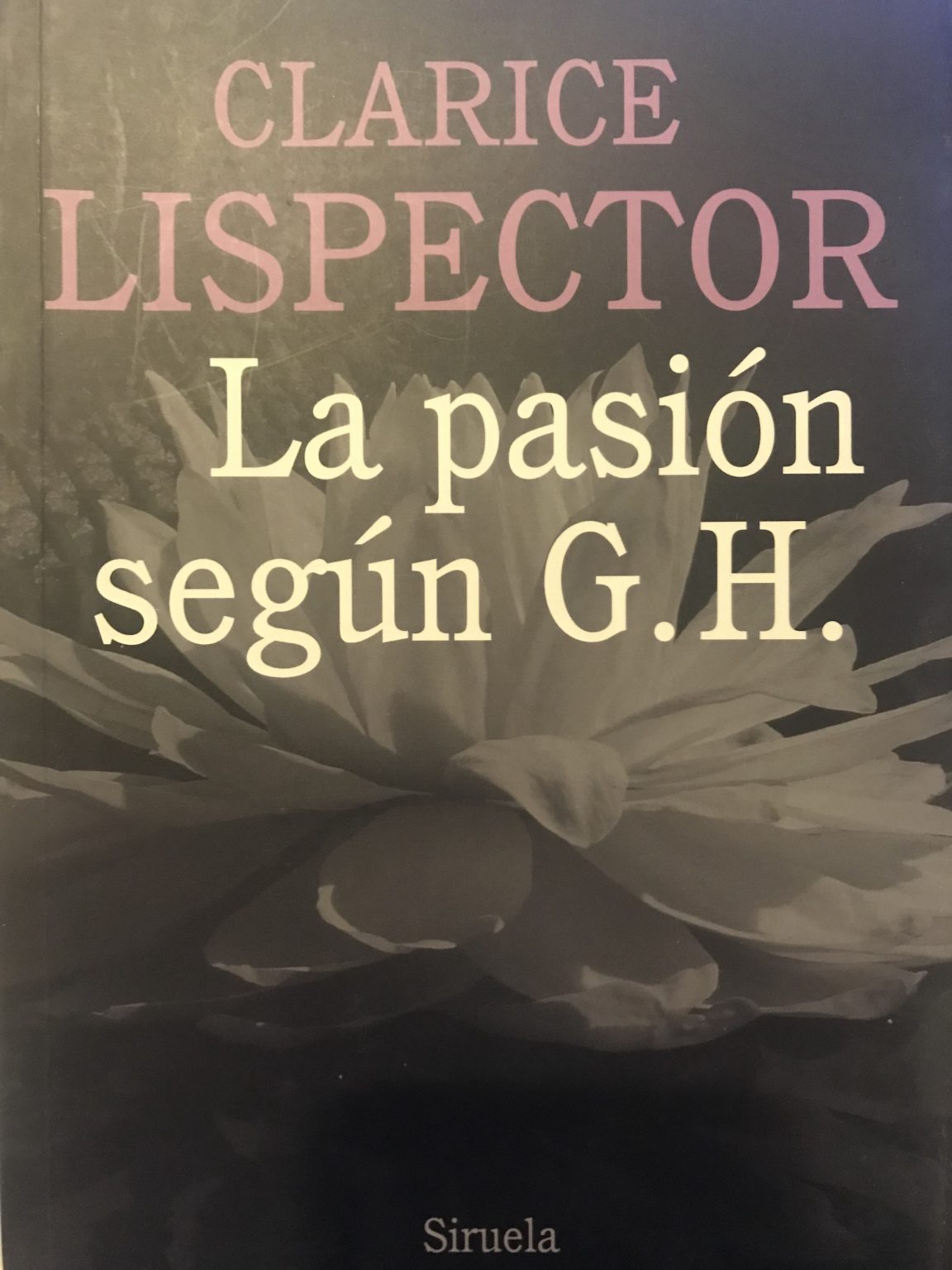 Clarice Linspector, la singular diferencia - Gaceta UDG