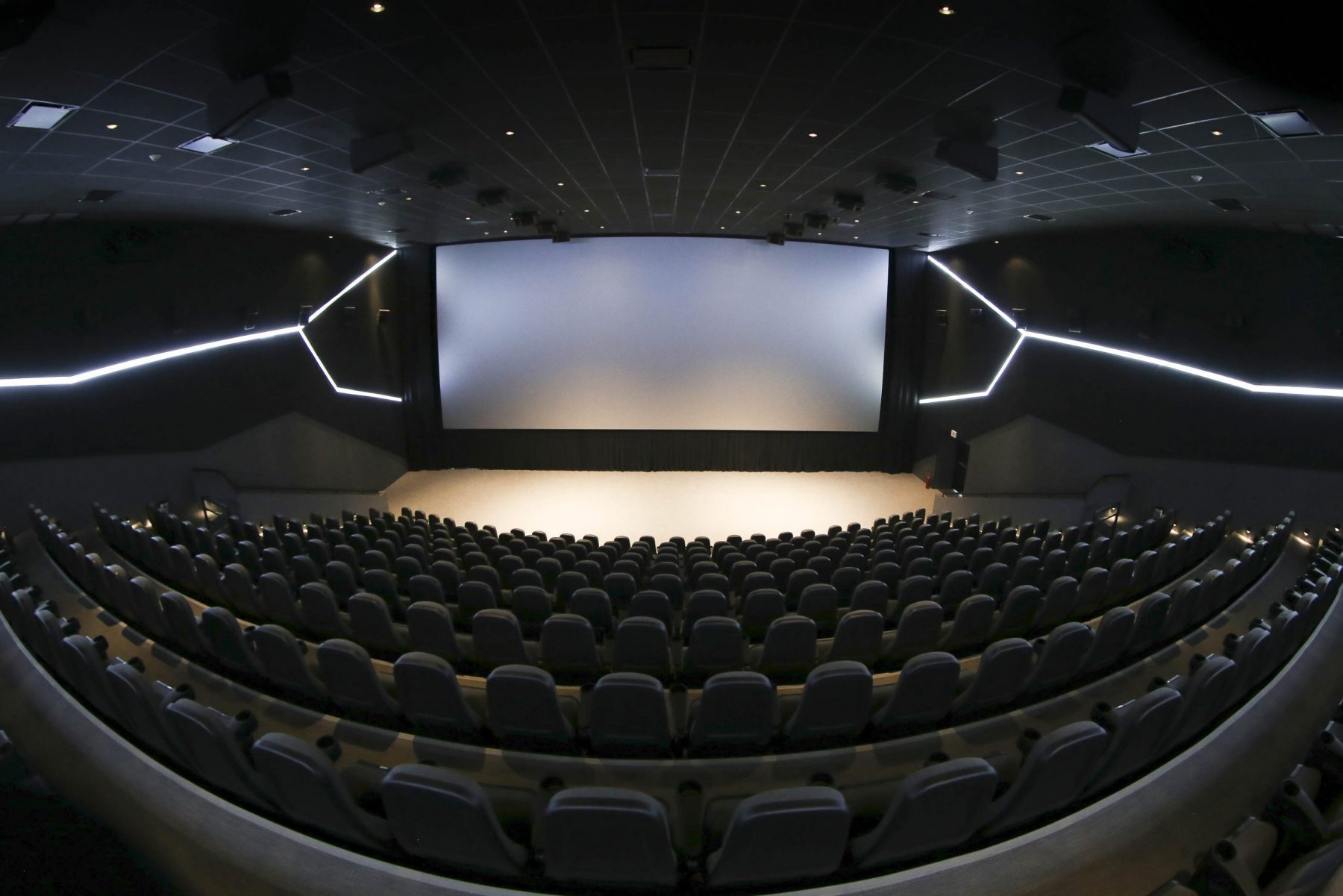 Vuelve el cine a la Cineteca FICG y la Sala Cineforo - Gaceta UDG