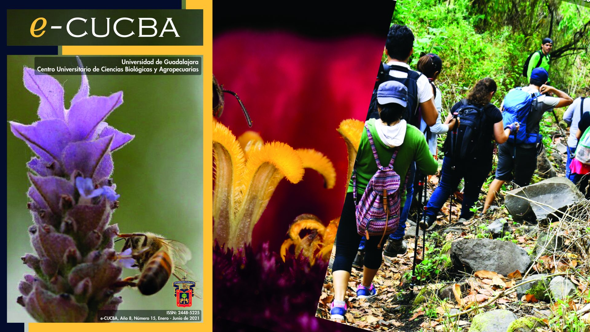 Difunde CUCBA investigaciones en formato digital - Gaceta UDG