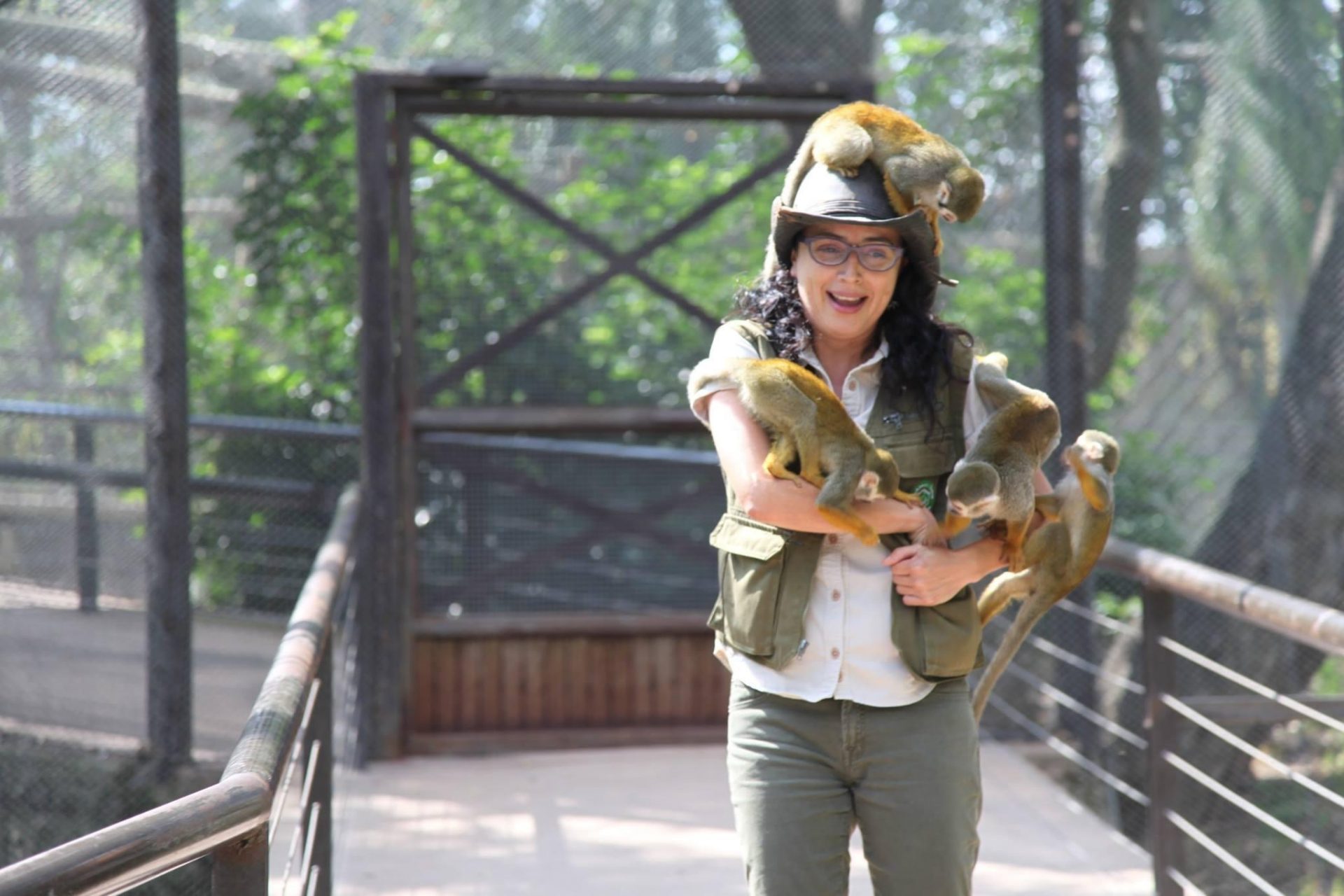 "Desde el Zoológico", 10 años de adentrarse al mundo animal - Gaceta UDG