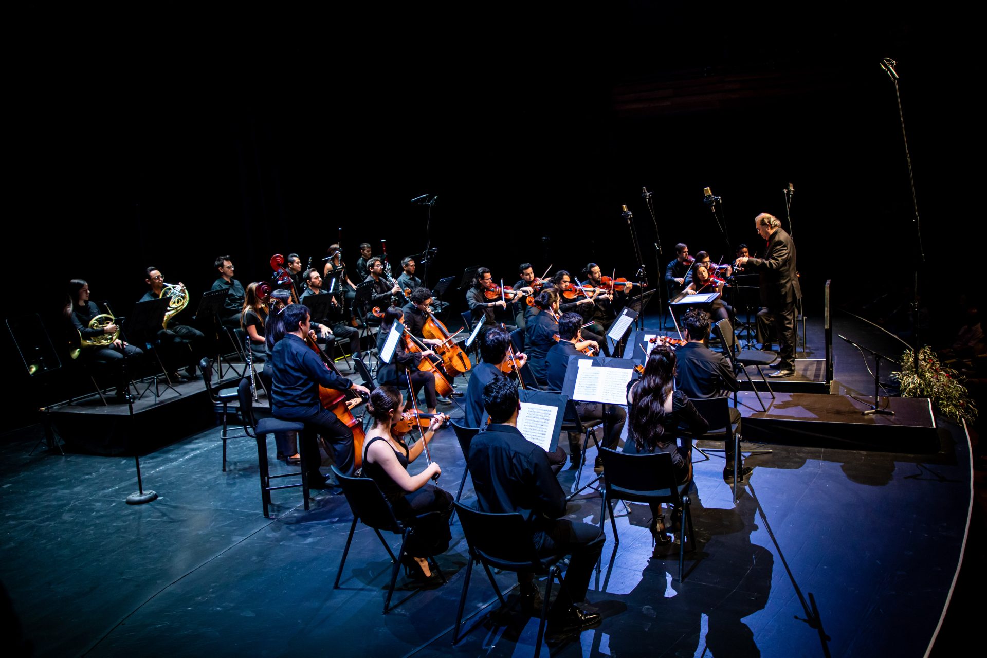 "Puro Mozart", homenaje de la OHIR al gran virtuoso - Gaceta UDG