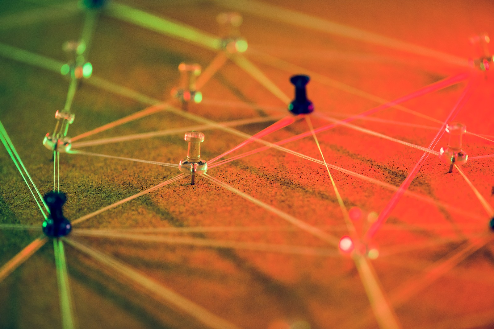 La fiesta de la Red de redes - Gaceta UDG