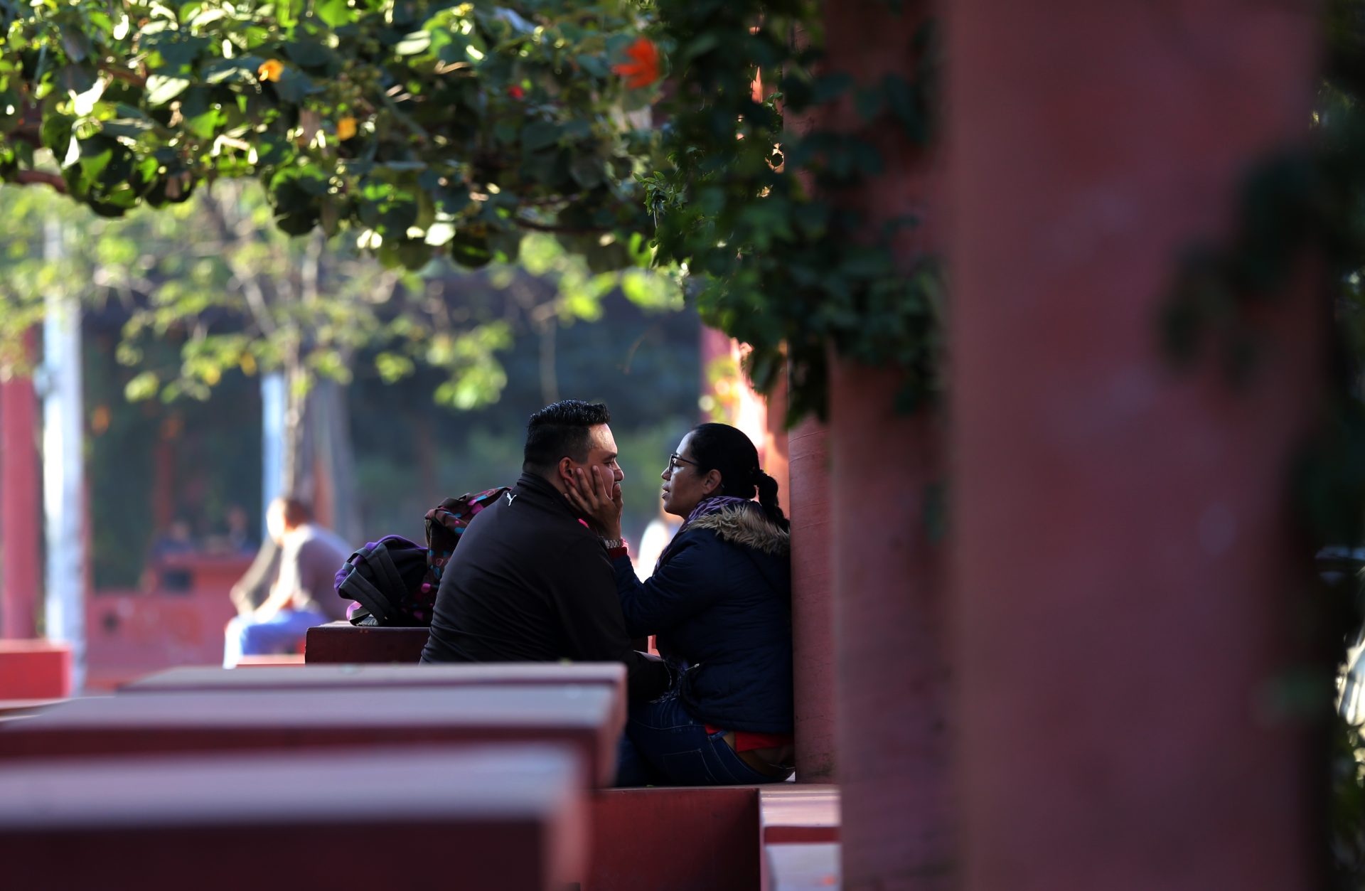 Parque Revolución, historia en el corazón de la ciudad - Gaceta UDG